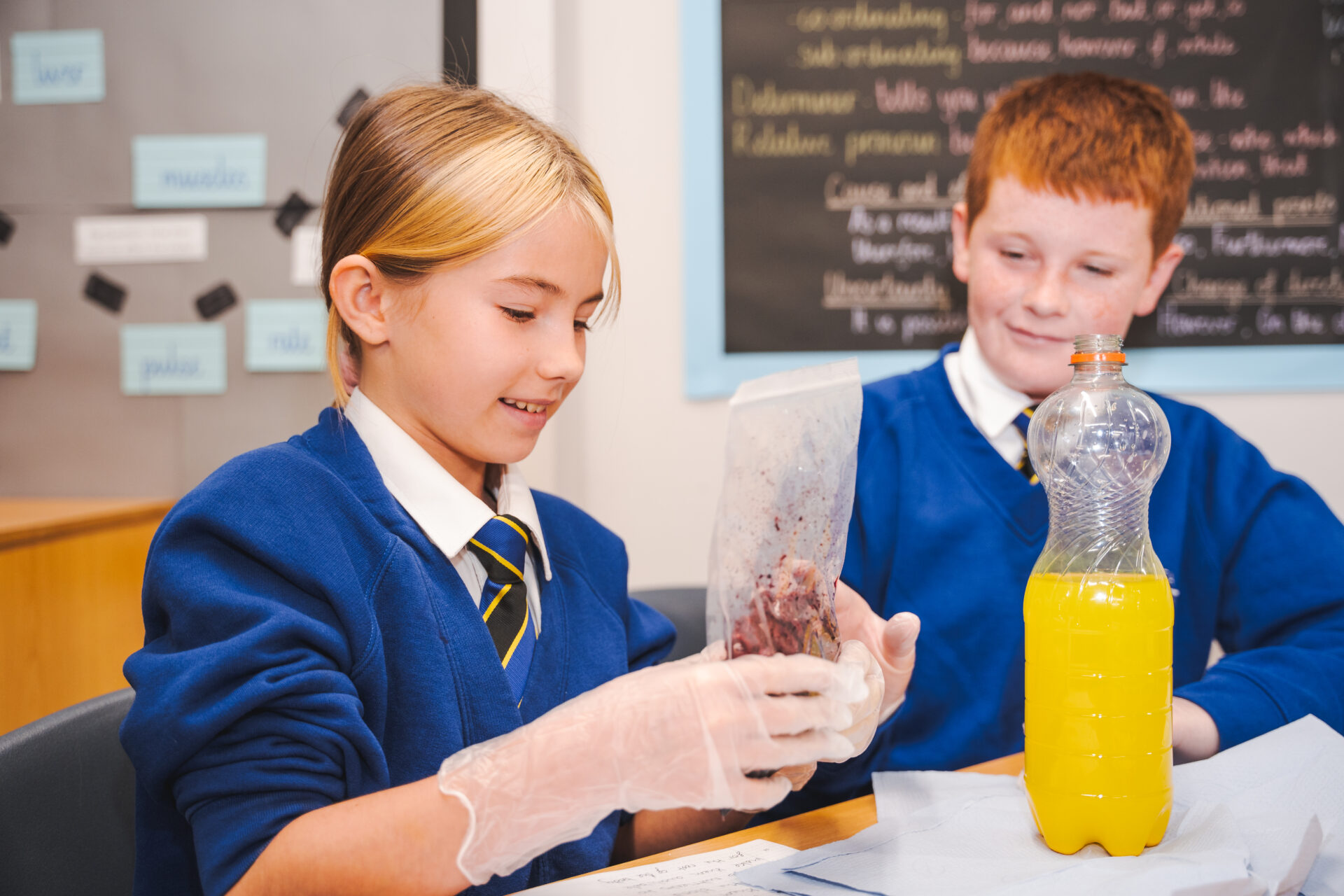 Curriculum Overview - Morley Place Academy